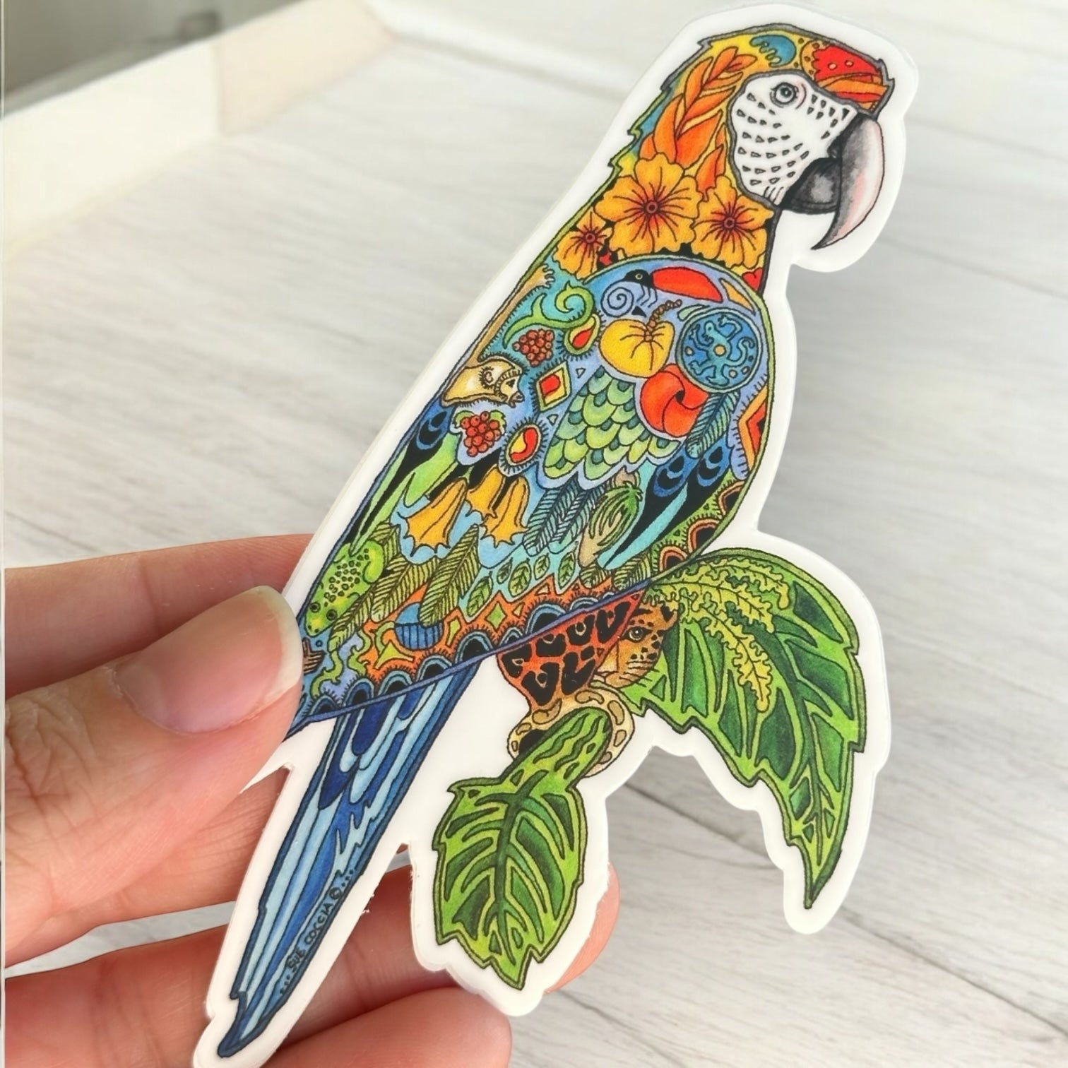 Macaw Sticker – EarthArt International