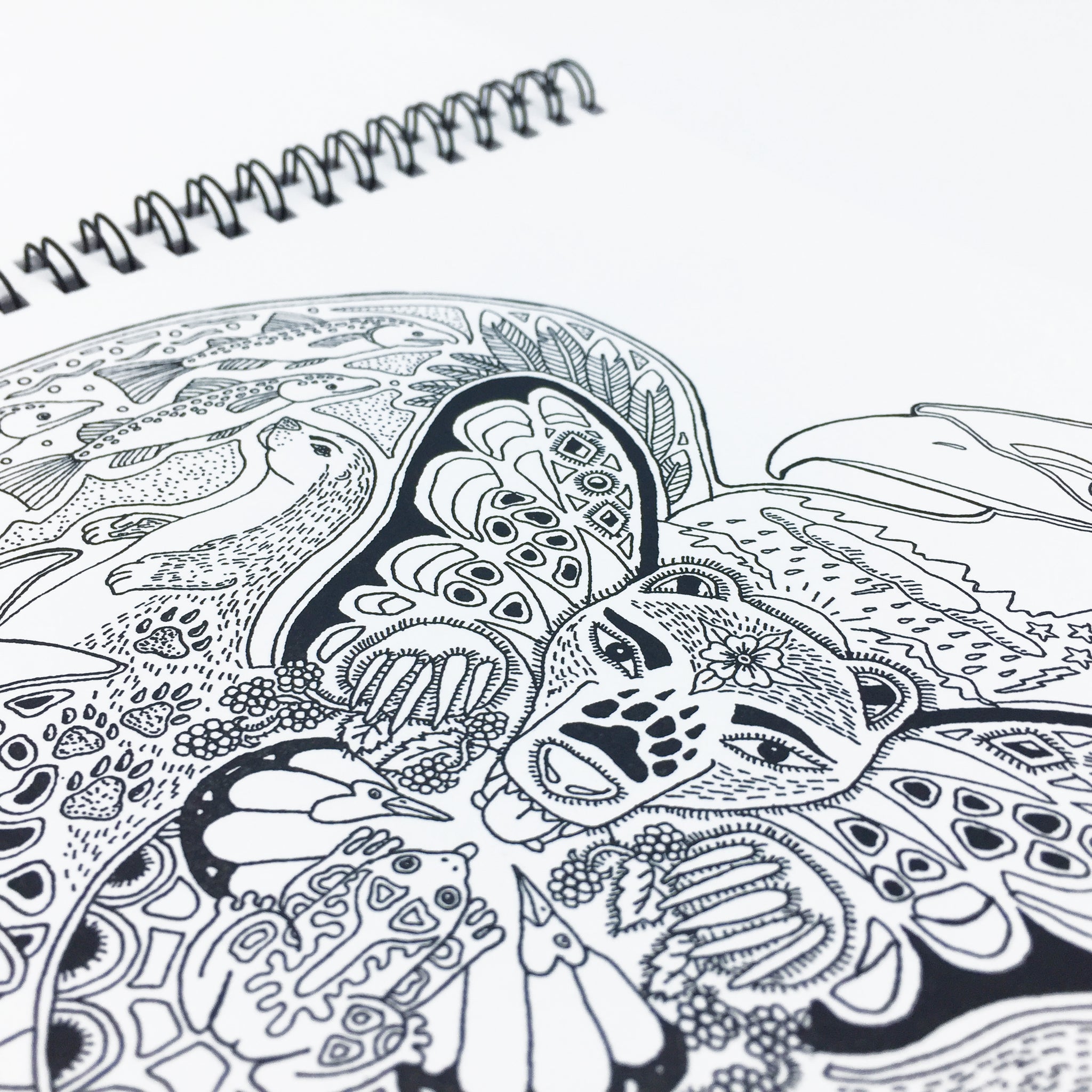 coloring book desert